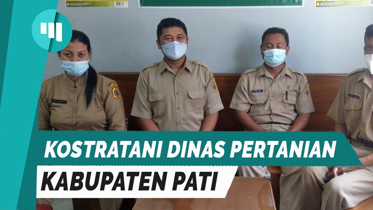 Video : Mengenal Kostratani Dinas Pertanian Kabupaten Pati - Mitrapost.com