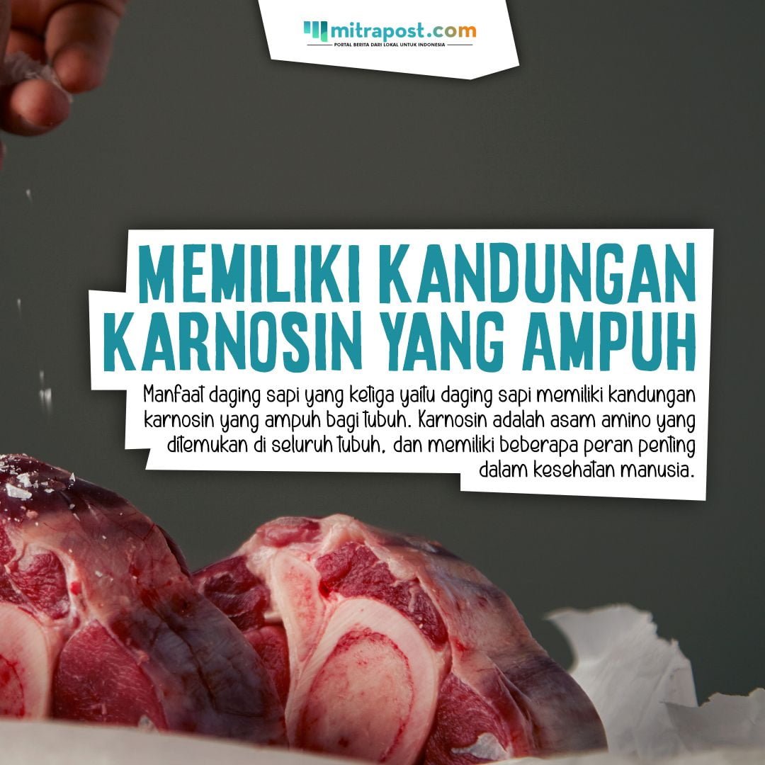 Info Grafis : MANFAAT DAGING SAPI BAGI KESEHATAN - Mitrapost.com