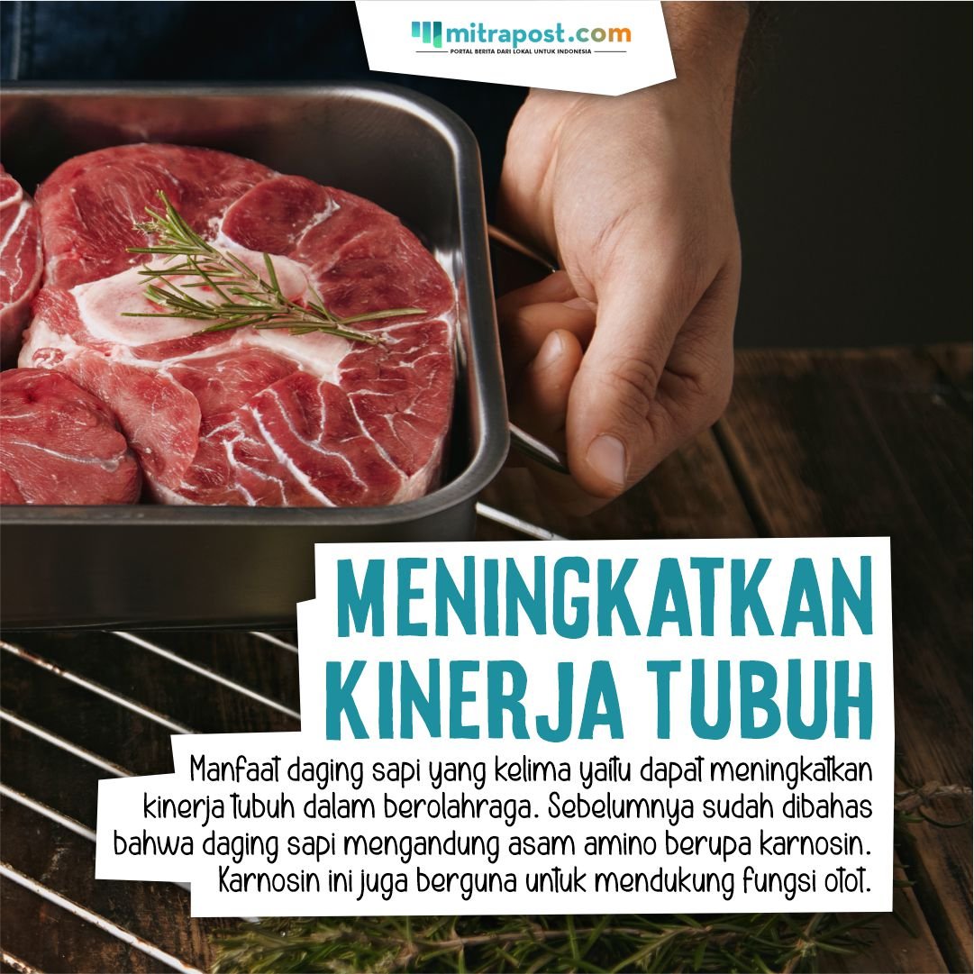 Info Grafis : MANFAAT DAGING SAPI BAGI KESEHATAN - Mitrapost.com