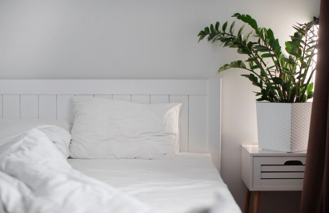 Dekorasi yang Wajib Ada di Kamar Tidur Minimalis Anda, Bisa Tambah ...