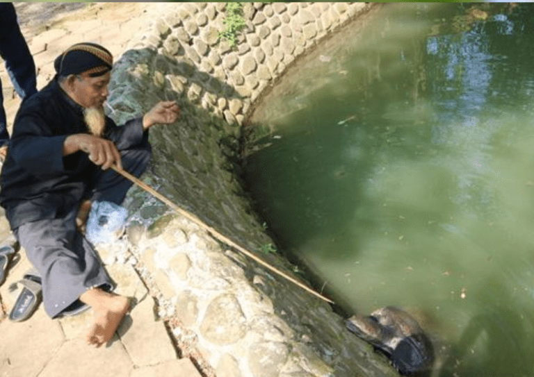 Legenda Murid Sunan Bonang Jadi Bulus di Sendang Sani Pati - Mitrapost.com