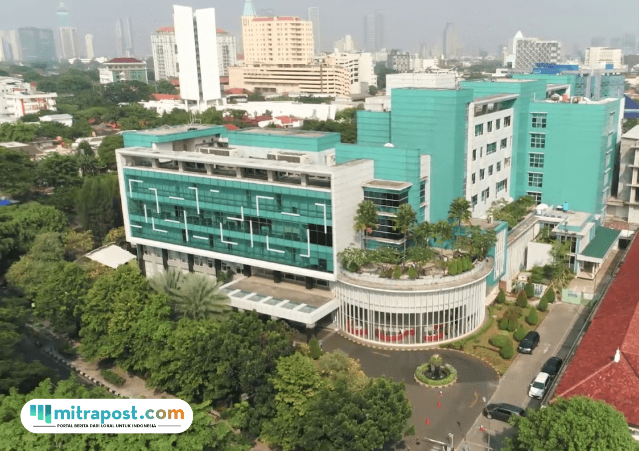 RSCM Ungkap Pasien Judi Online, Mayoritas Pria Berusia 18-35 Tahun