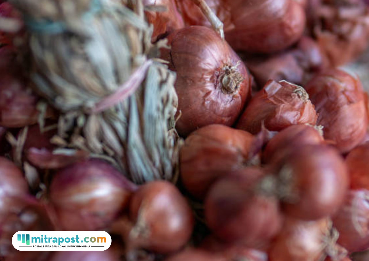 Keunggulan Kulit Bawang Merah untuk Penyuburan Tanaman - Mitrapost.com